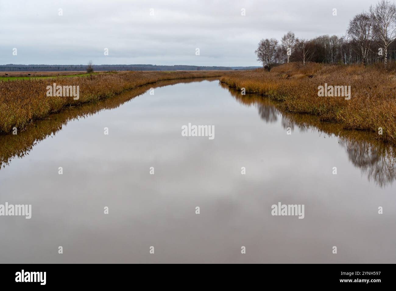 Channel of water through Kvismaren nature reserve in Sweden Stock Photo ...