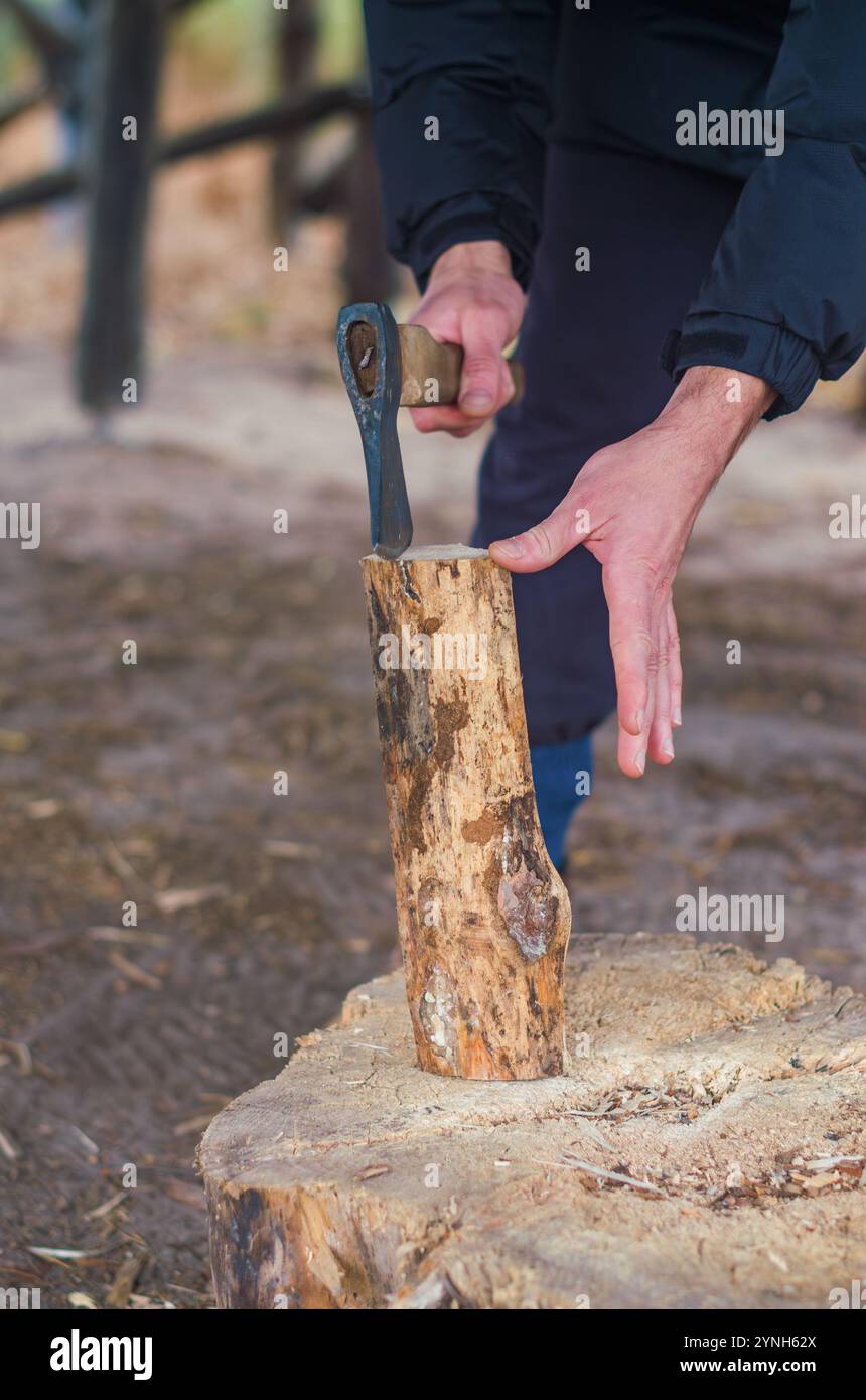 Man`s hand chopping firewood tree hi-res stock photography and images ...