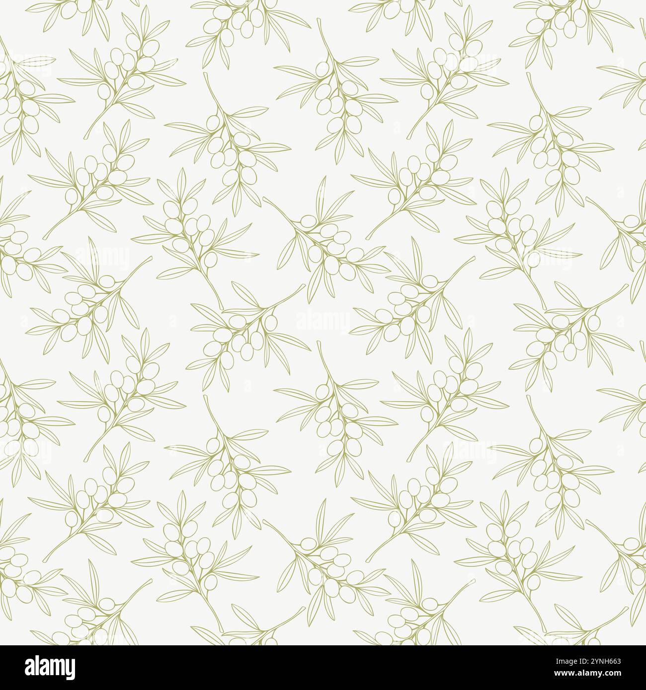 Greek fruit pattern, green outline drawing of an olive branch on white ...