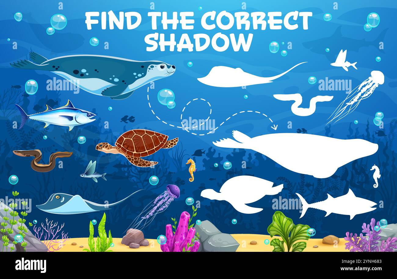 Find correct shadow of cartoon funny sea animals for kids game, vector ...