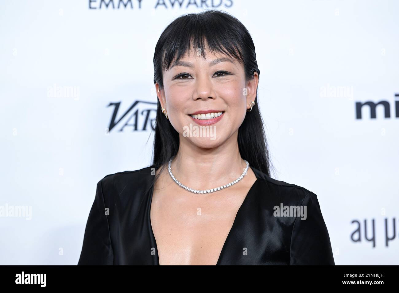 New York, USA. 25th Nov, 2024. Ali Ann attends the 52nd International ...