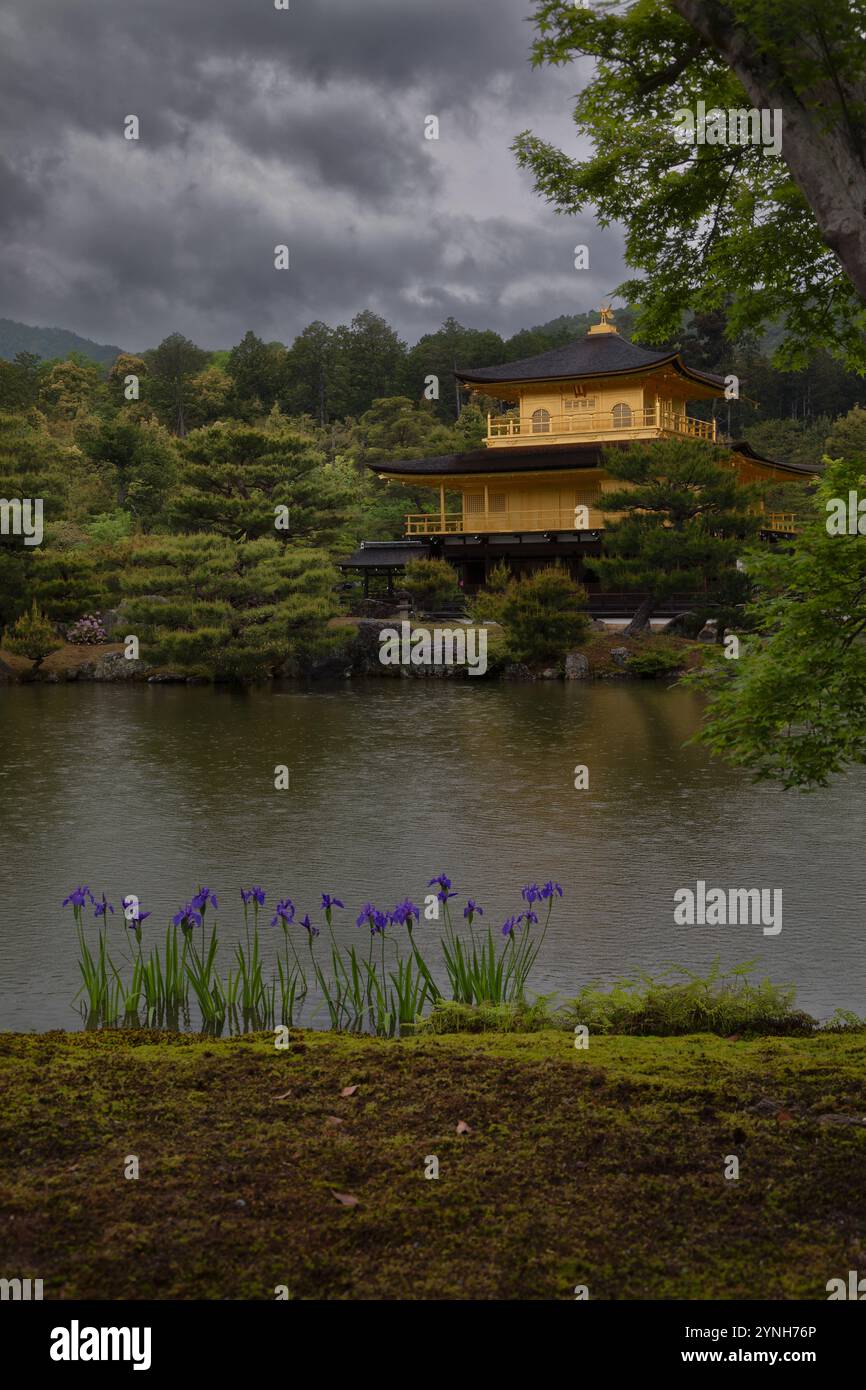 Golden our over the lake hi-res stock photography and images - Alamy