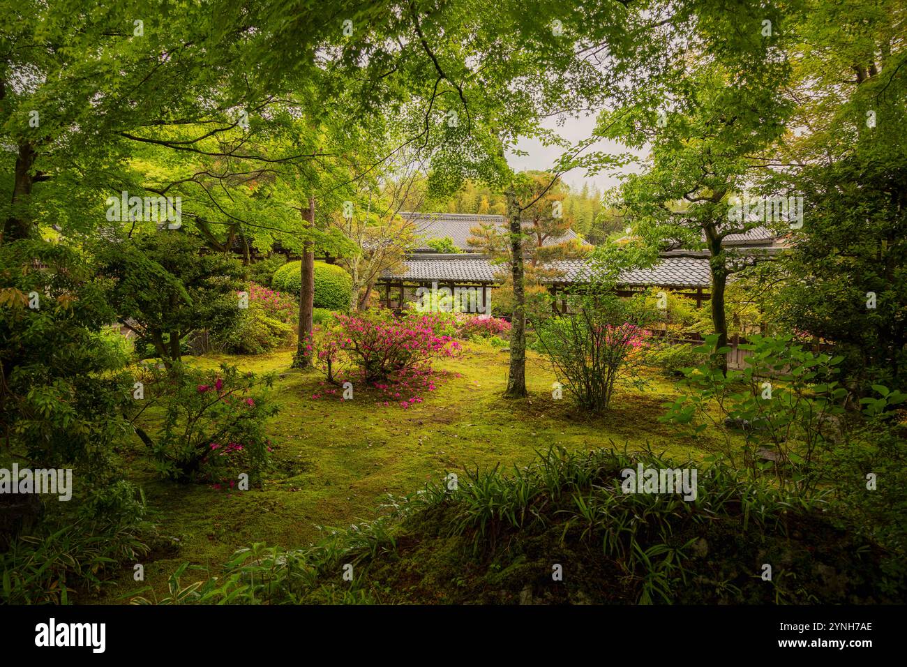 Tenryu-ji temple in Kyoto in a rainy day Stock Photo - Alamy