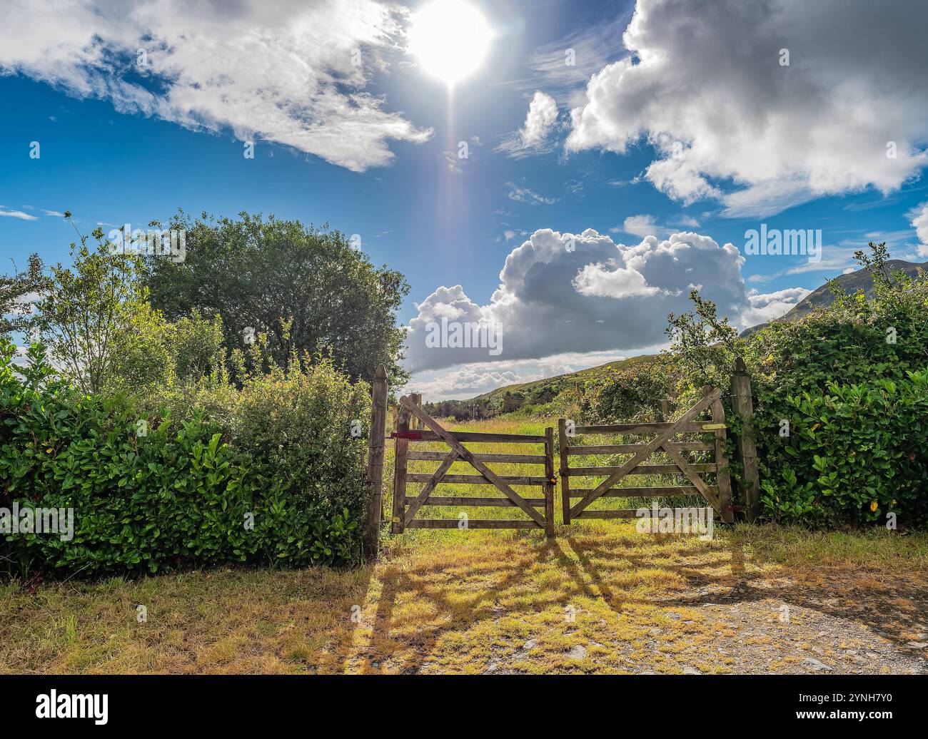 Charming countryside landscape featuring a wooden gate with lush ...