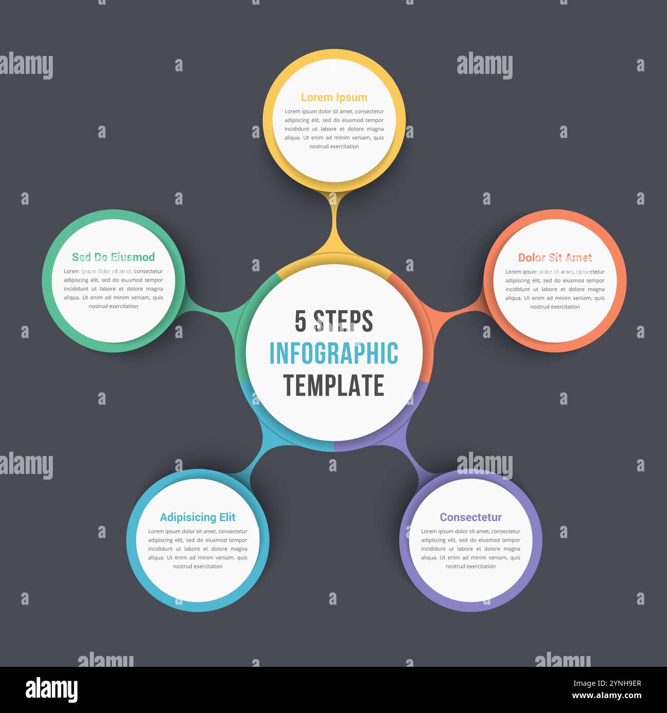 Circle diagram infographic template with five steps or options, workflow, process, vector eps10 ...