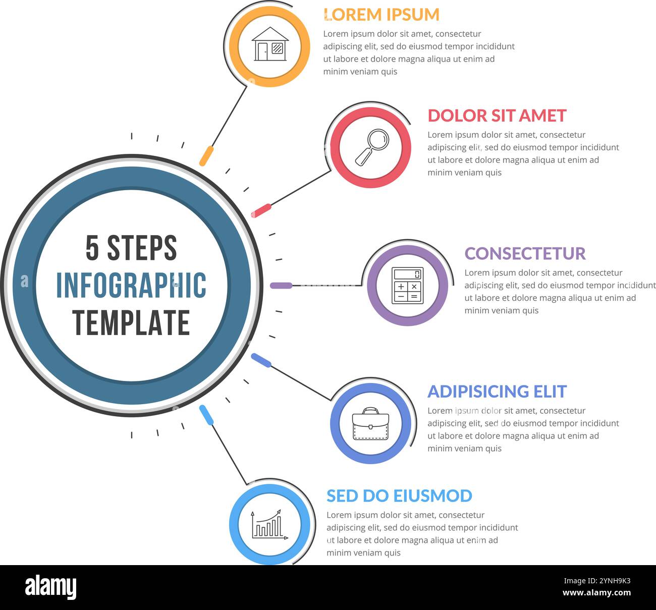 Infographic template with five steps or options, workflow, process ...