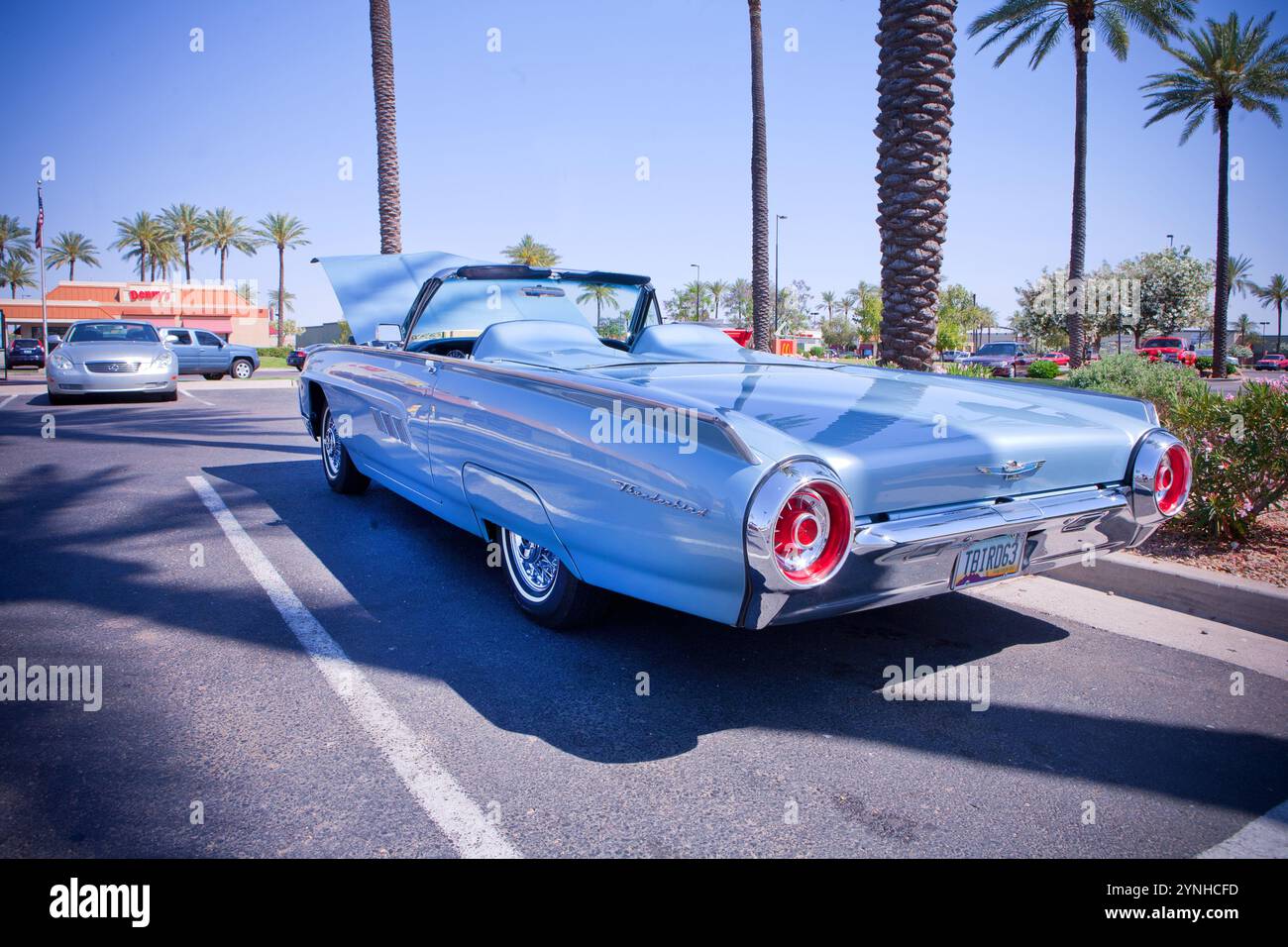 A classic powder blue Ford Thunderbird Stock Photo - Alamy