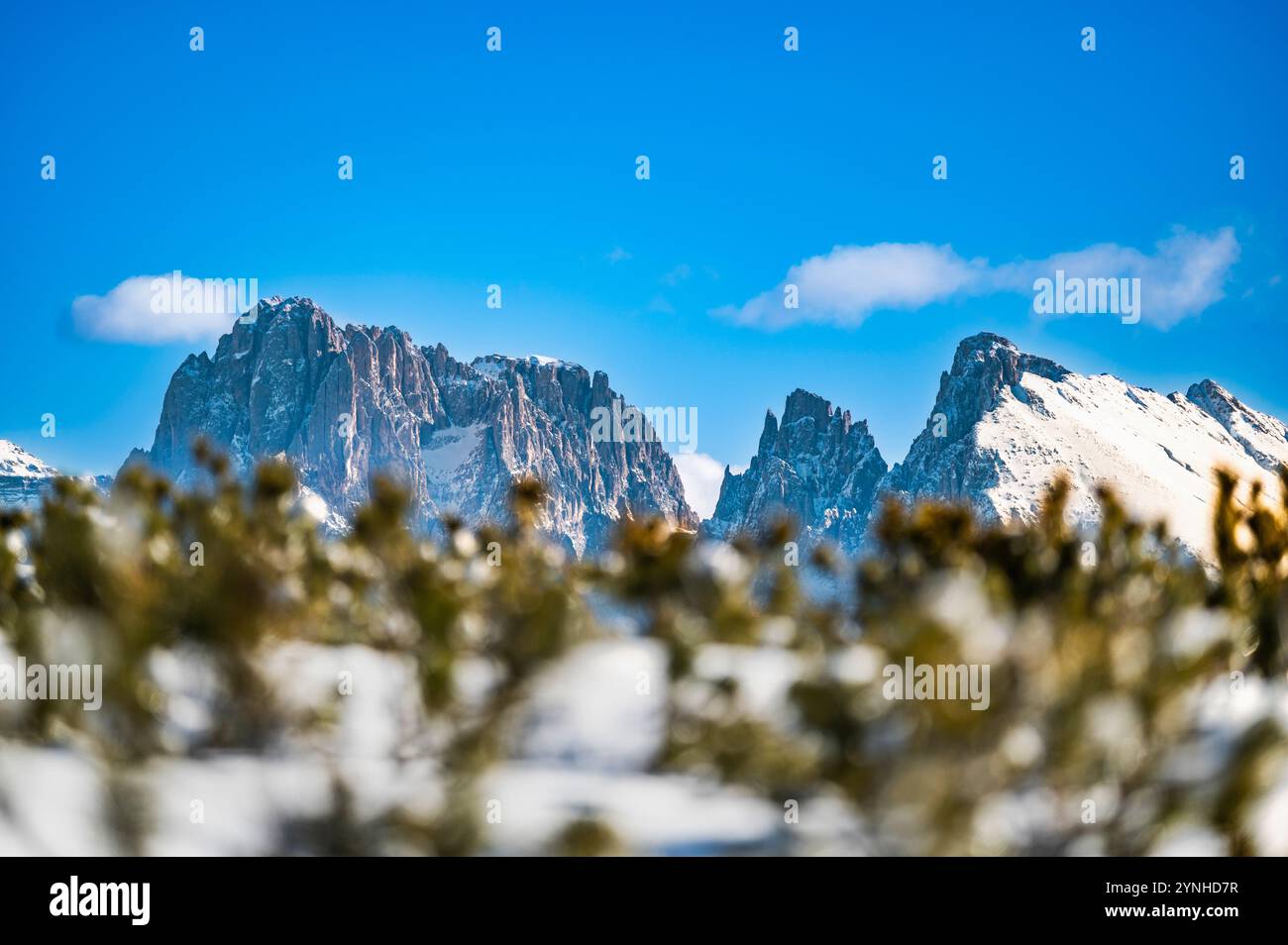 Discovering the Renon plateau in winter. Breathtaking views of the ...