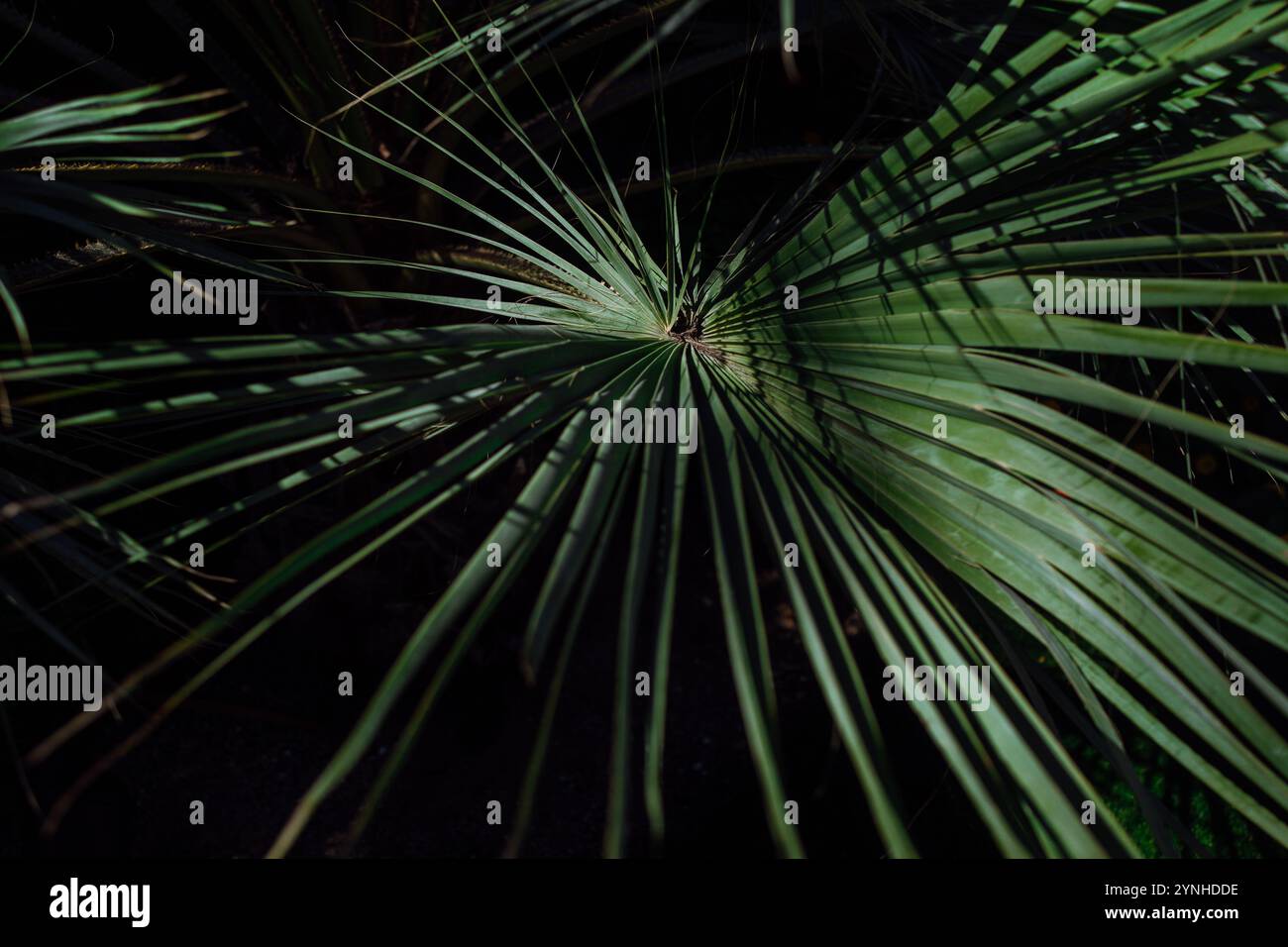 John colson hi-res stock photography and images - Alamy