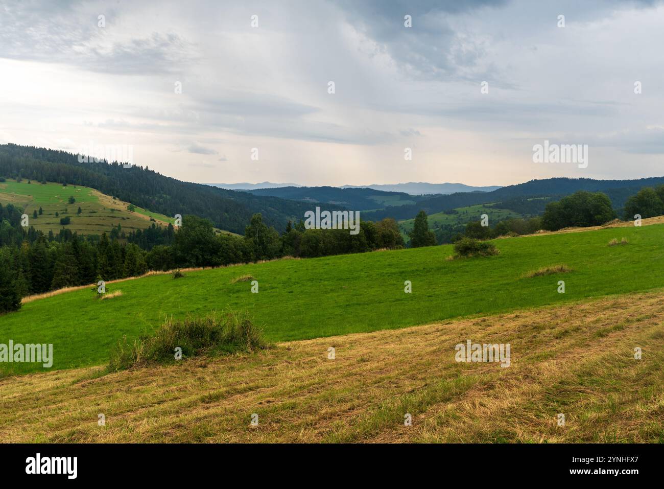 Lapszanka viewpoint hi-res stock photography and images - Alamy