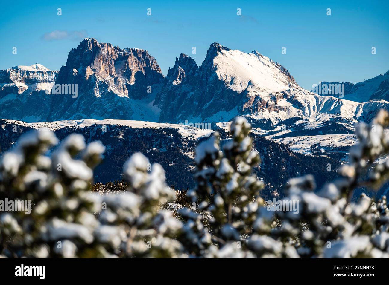 Discovering the Renon plateau in winter. Breathtaking views of the ...
