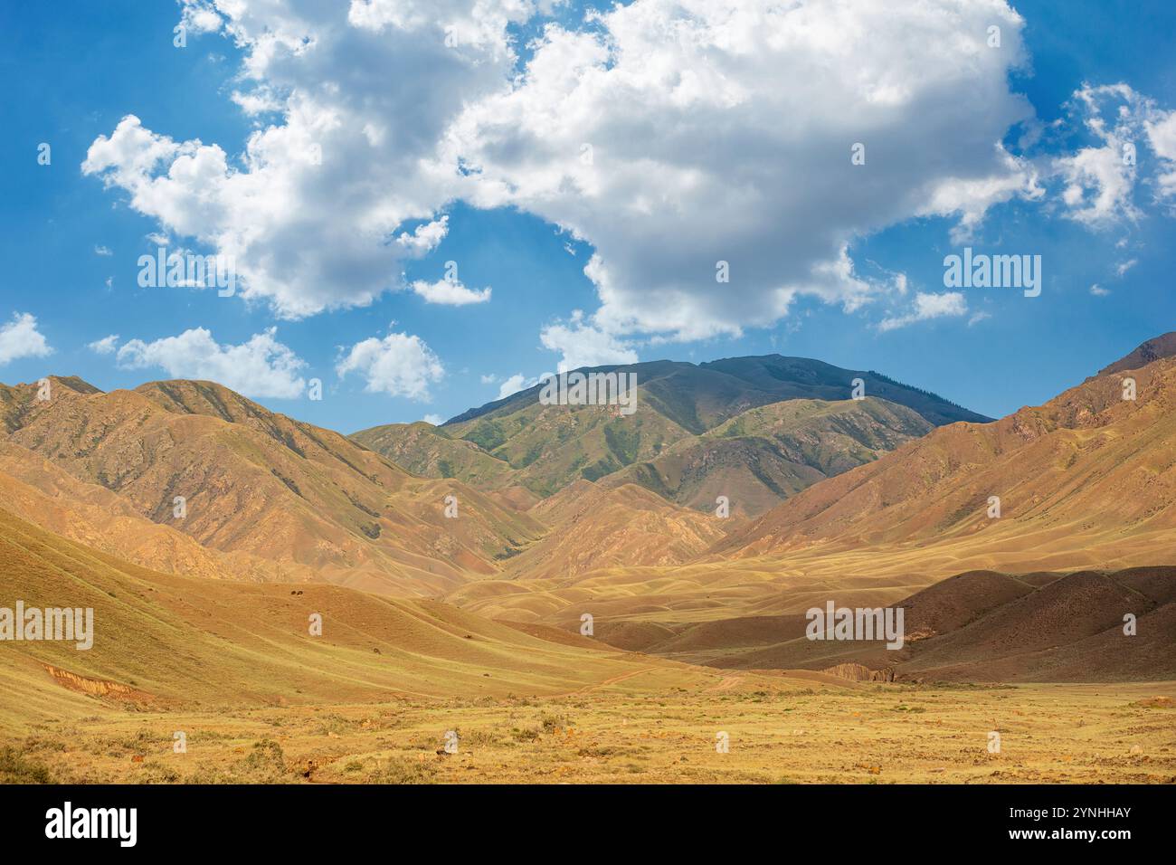 The breathtaking desert mountain landscape of Central Asia under the ...