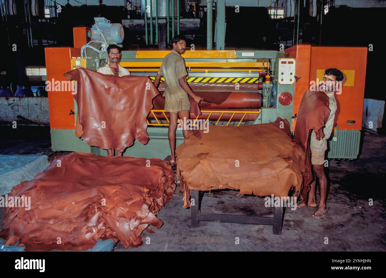 India, Tamil Nadu, Ratipet, factory workers work at the tannery in a ...