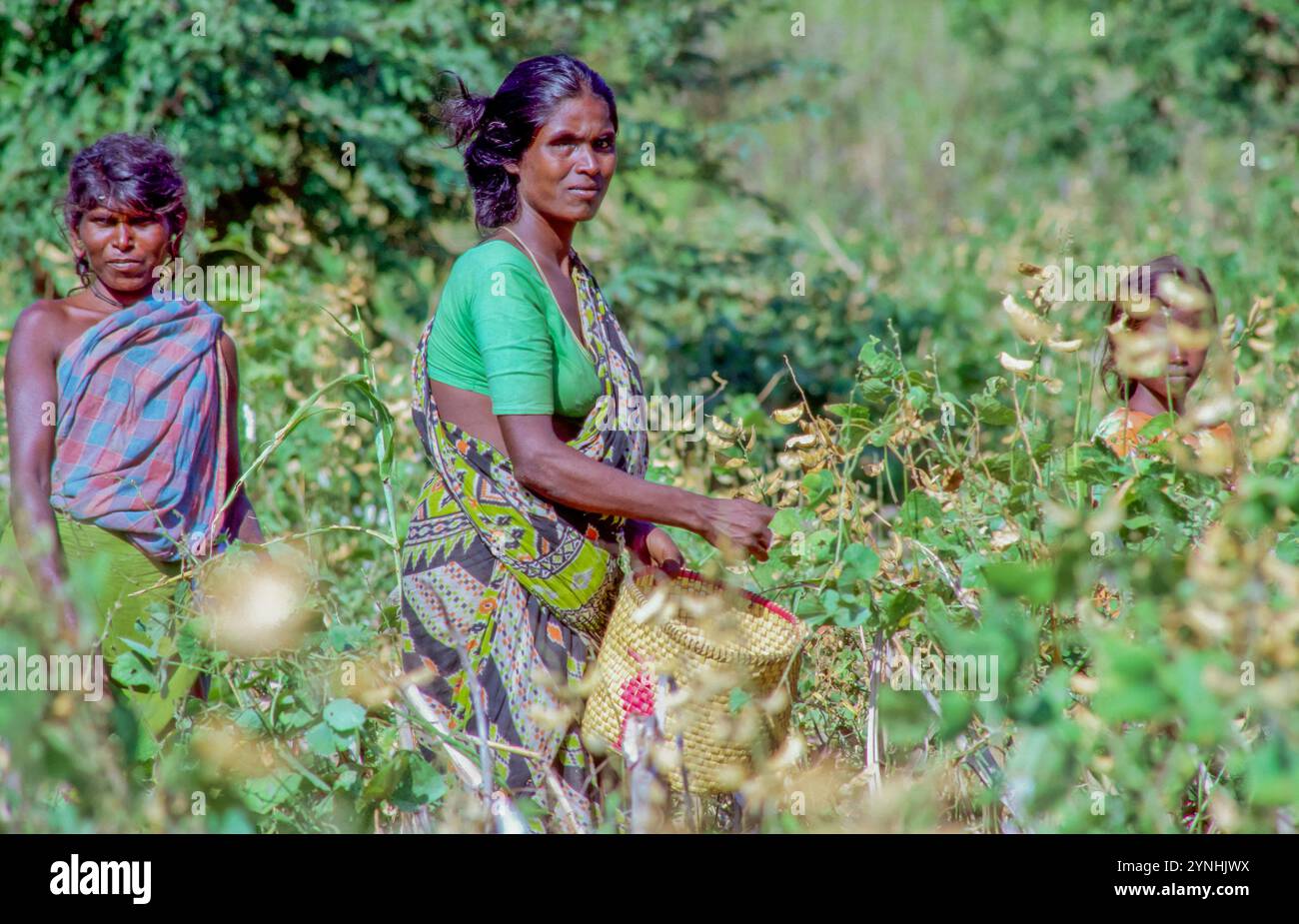 India tamil nadu women hi-res stock photography and images - Alamy