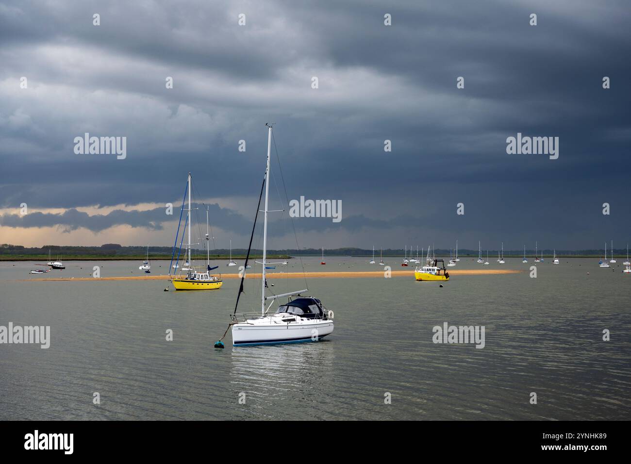 Horse Sand river Deben Felixstowe Ferry Suffolk Stock Photo - Alamy