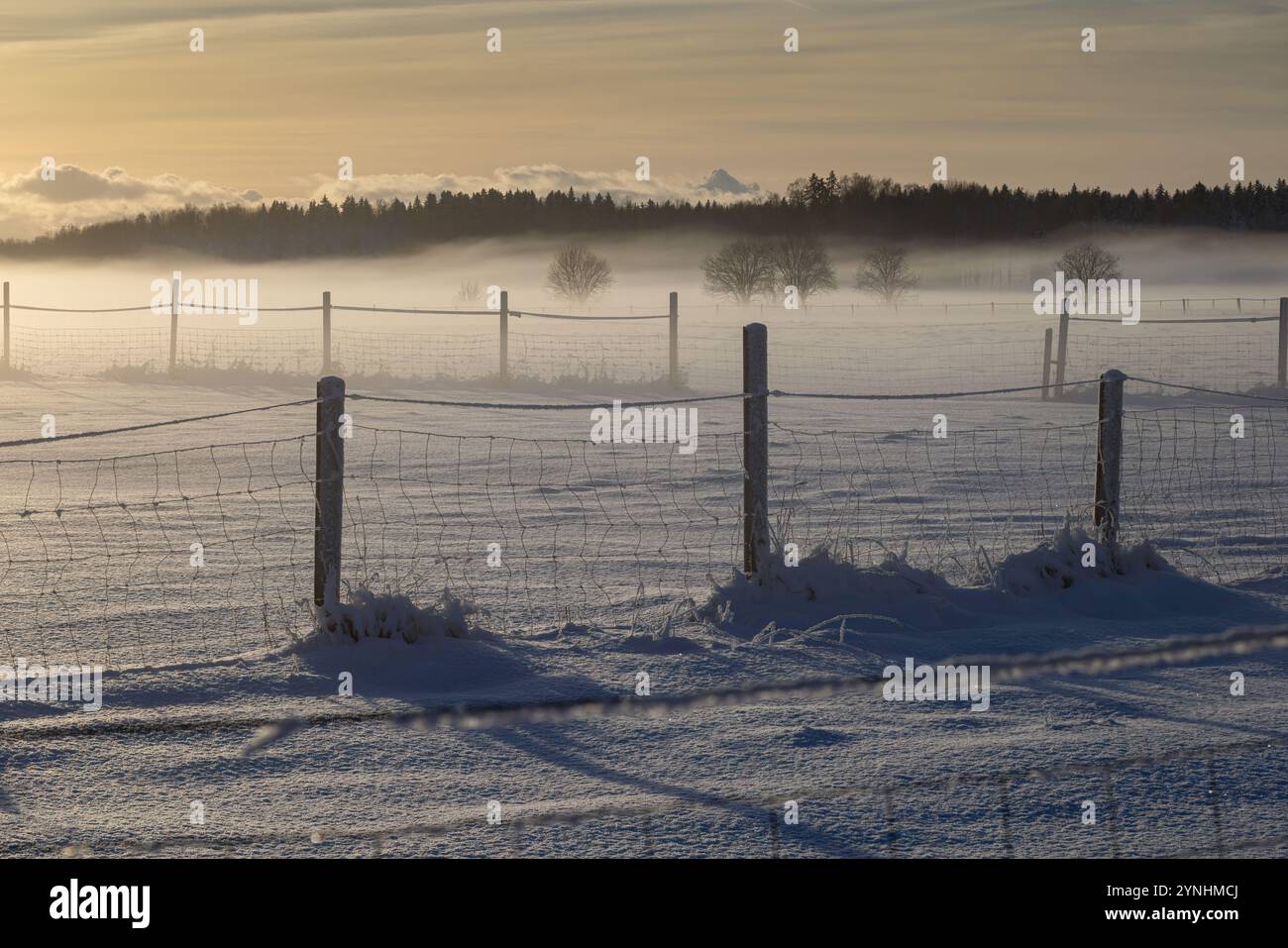 Snowy landscape with fence and trees hi-res stock photography and ...