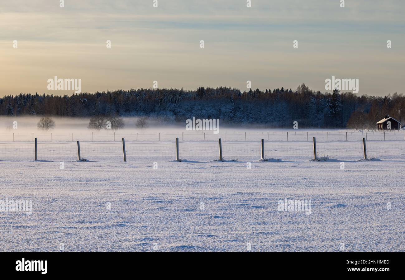 Snowy landscape with fence and trees hi-res stock photography and ...