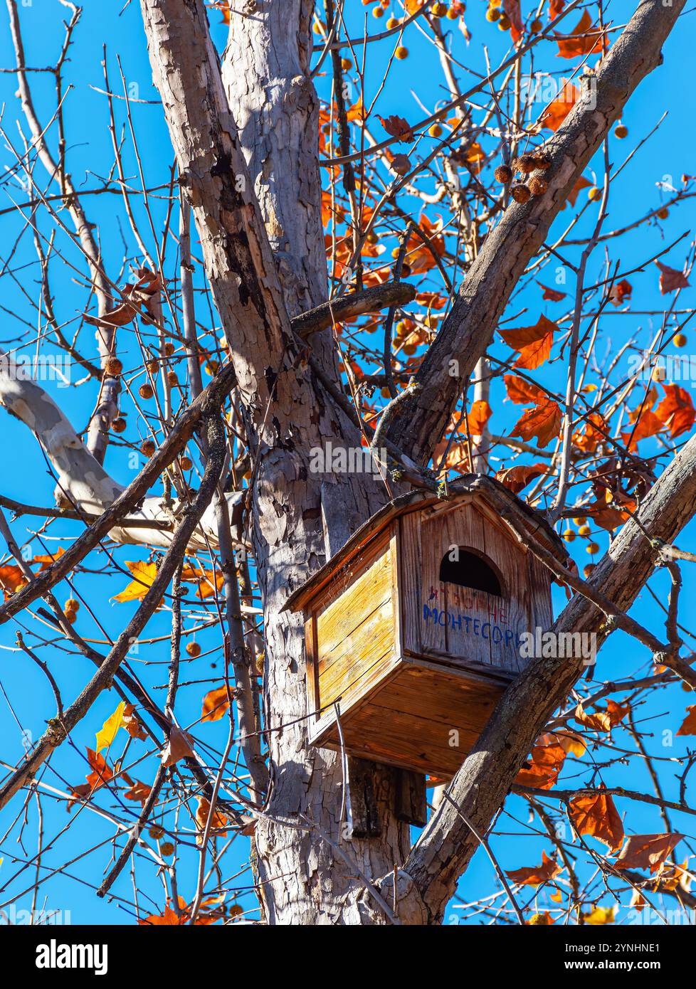 Birds of skopje hi-res stock photography and images - Alamy