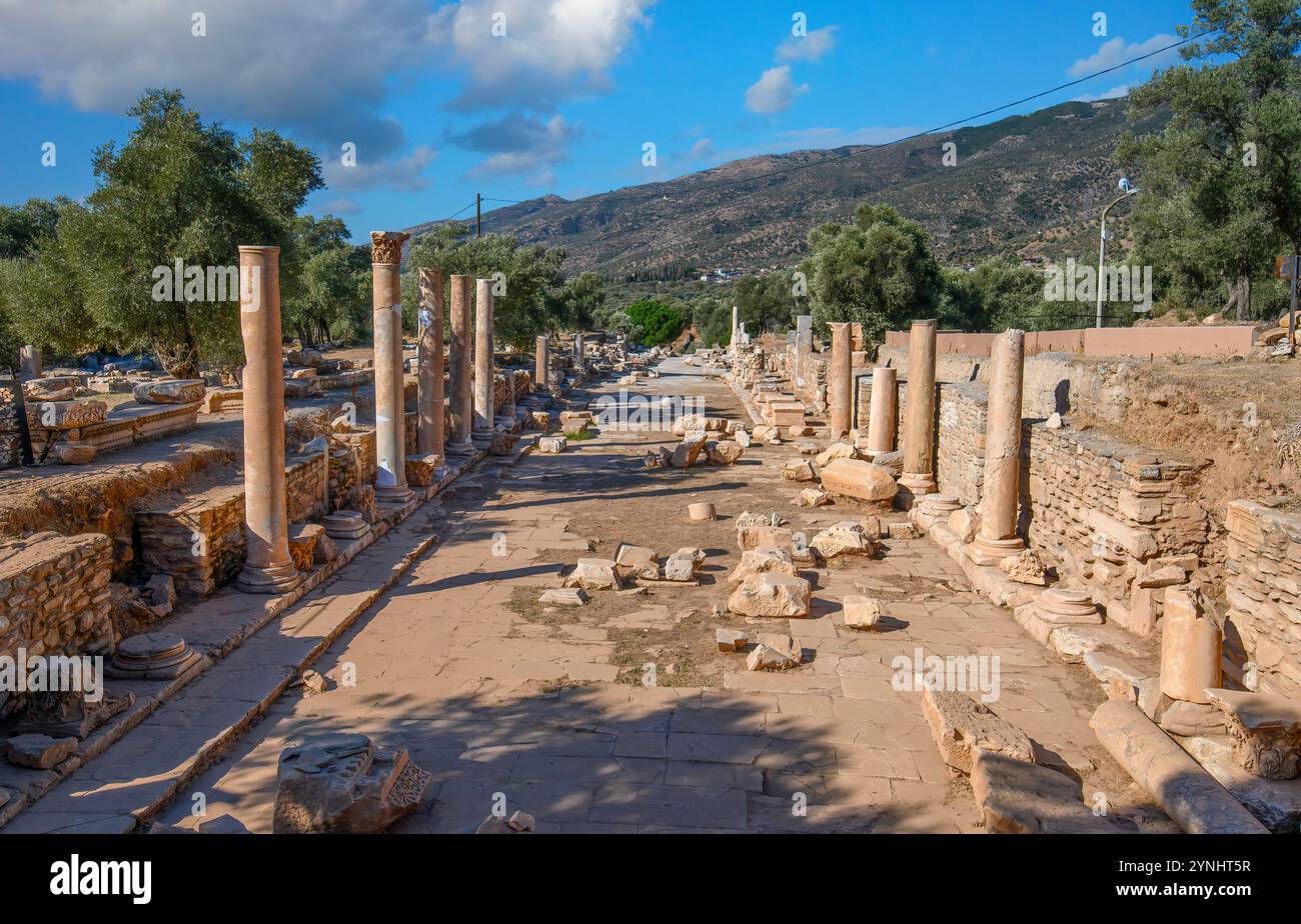 Nysa Ancient City in Sultanhisar district of Aydın Province of Turkey ...