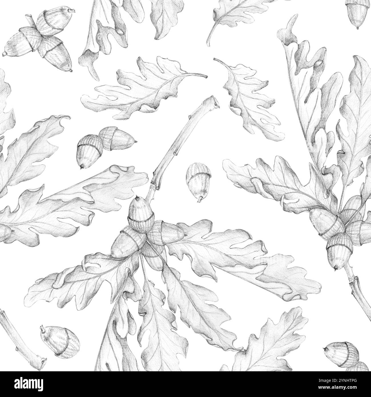 Seamless pattern with oak branch, oak leaves and acorns on a white ...