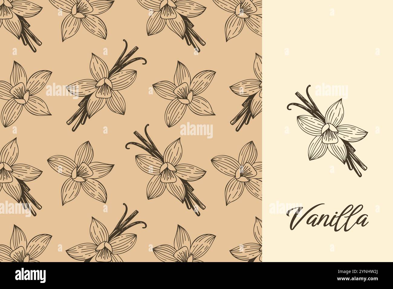 Vanilla label for aromatic spices, pattern with flowers and vanilla ...
