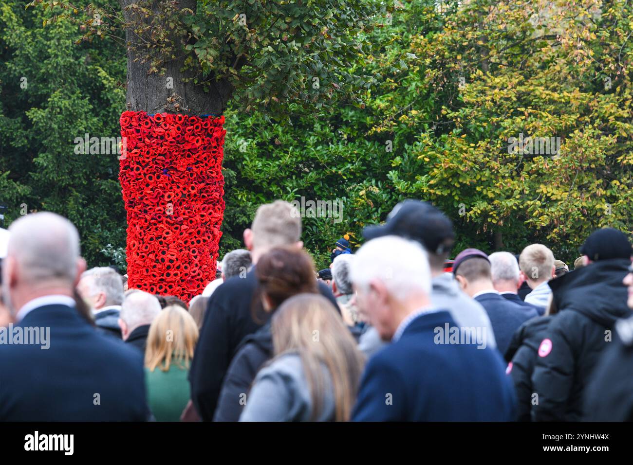 tree wrapped in knitted poppies in queens park loughborough Stock Photo ...
