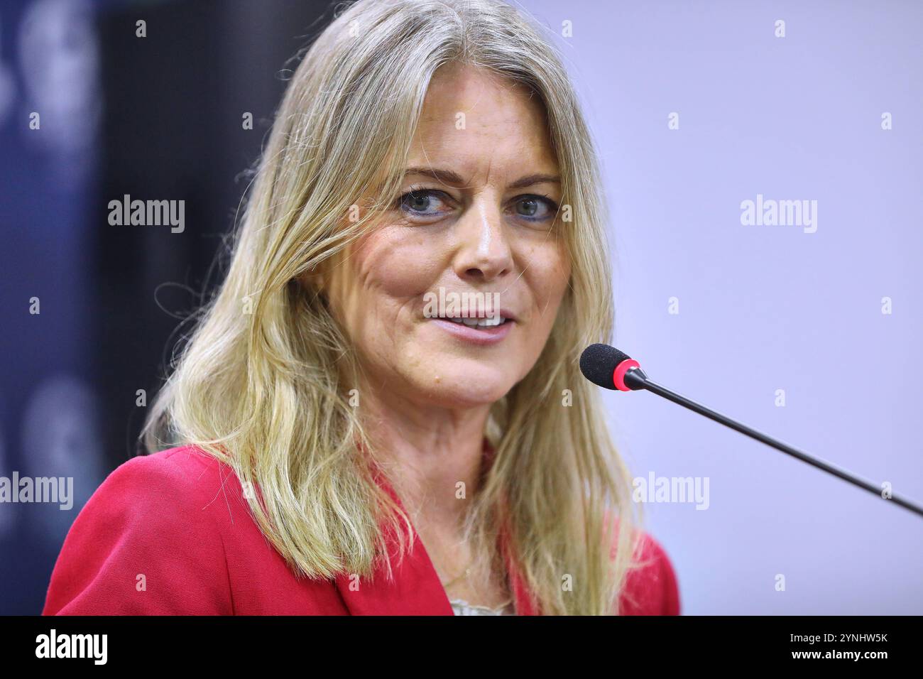 Rio de Janeiro, Brasilien, 19.11.2024: Museu de Arte Moderna do Rio de ...