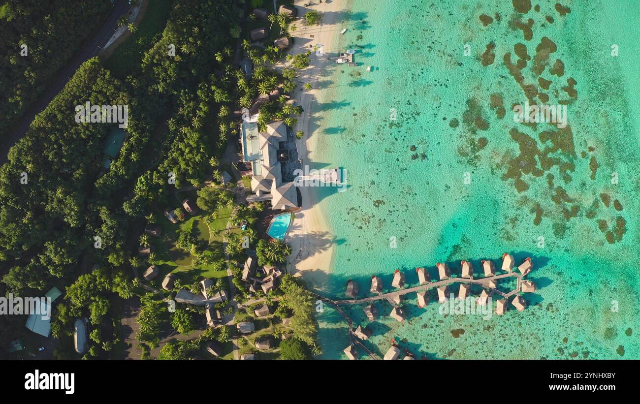 Upscale luxury bungalows resort on tropical island, vibrant green ...