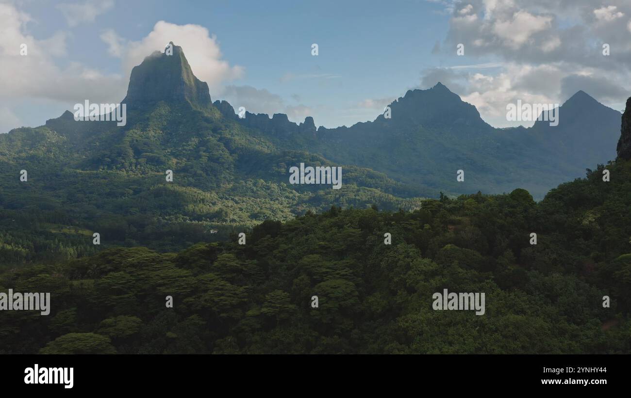 Scenic aerial perspective of green rainforest blanketing the rugged ...