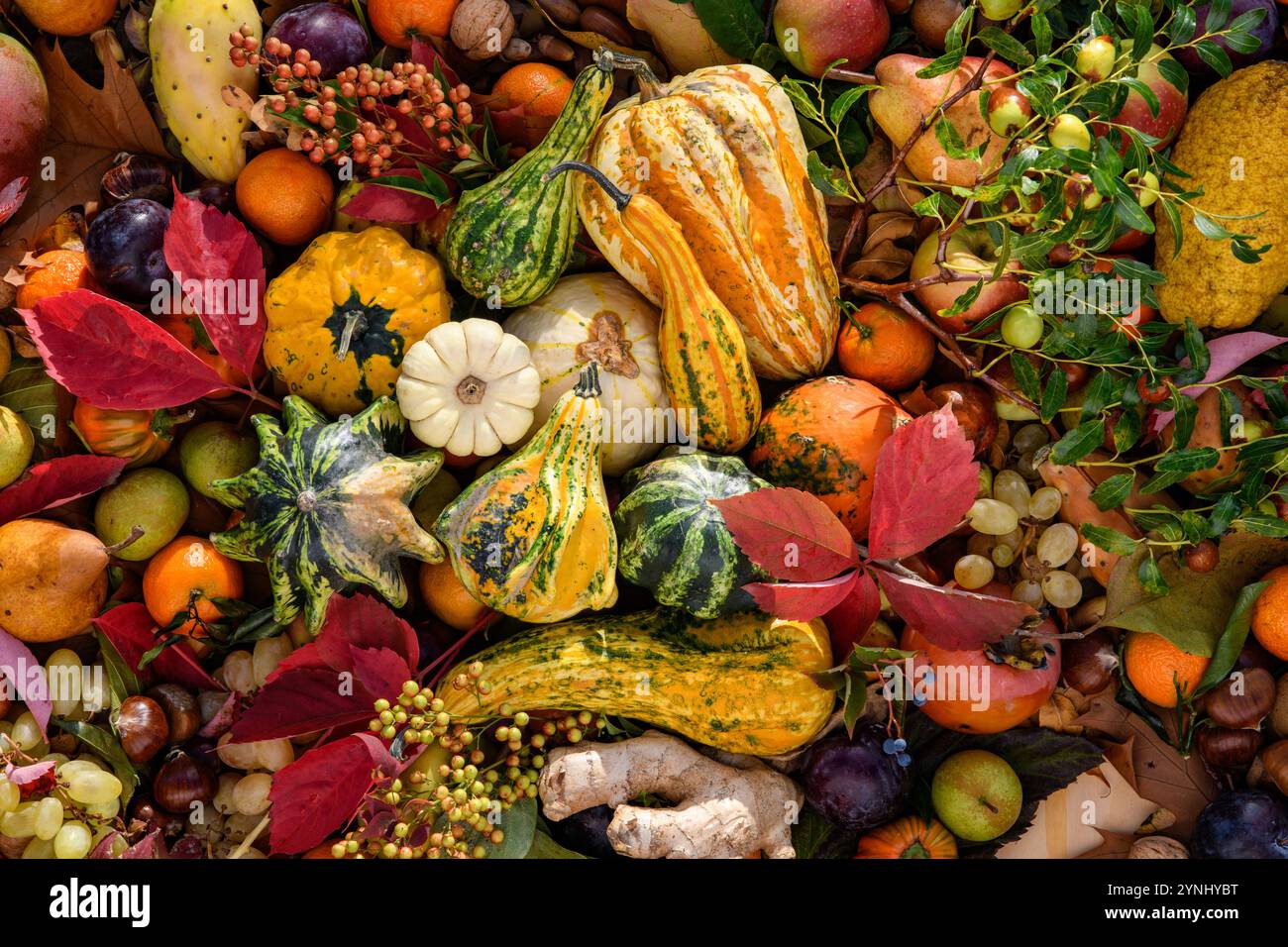 the colors of autumn Stock Photo - Alamy