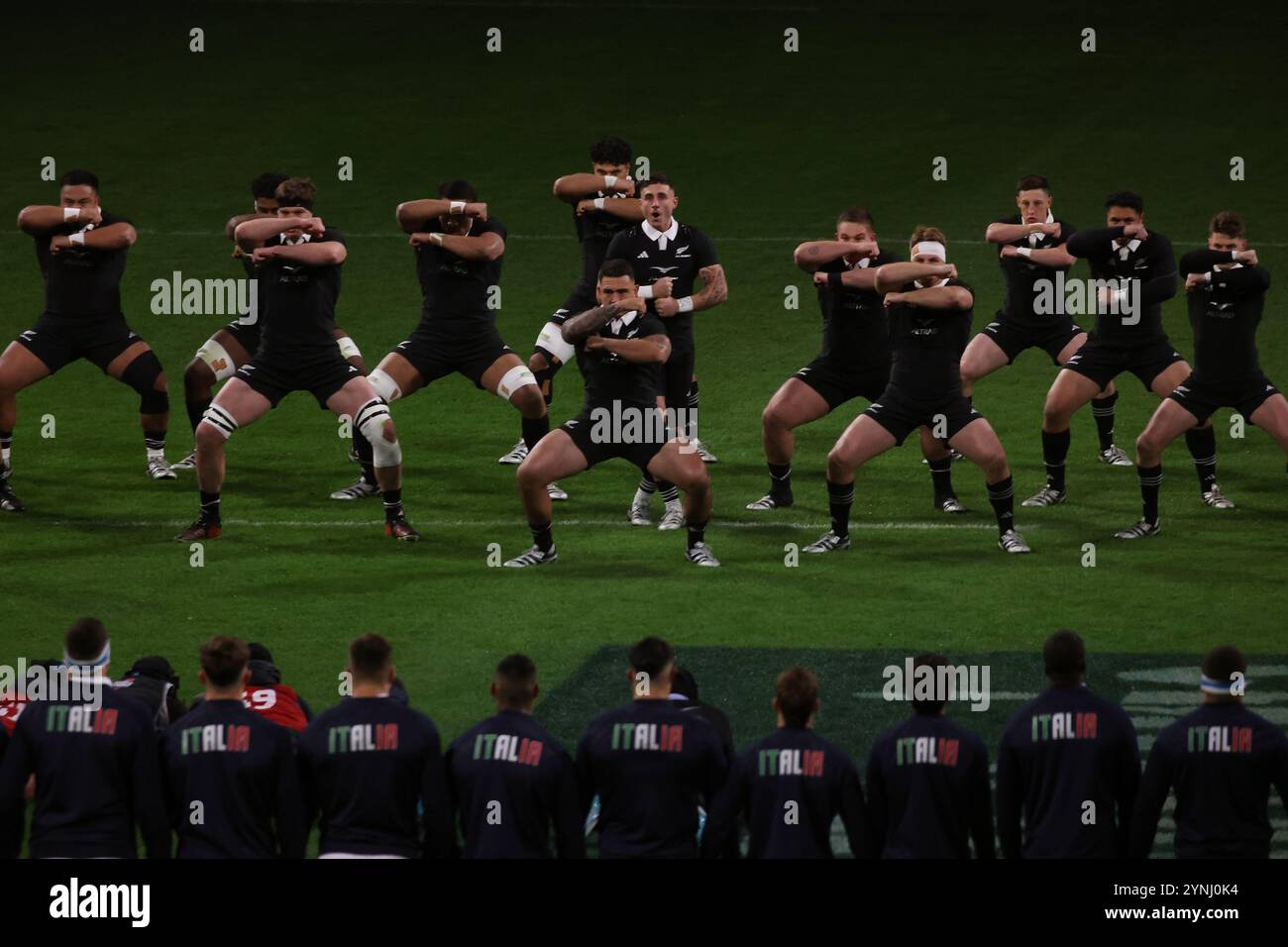 The Haka dance of the All Blacks team during Italy vs New Zealand ...