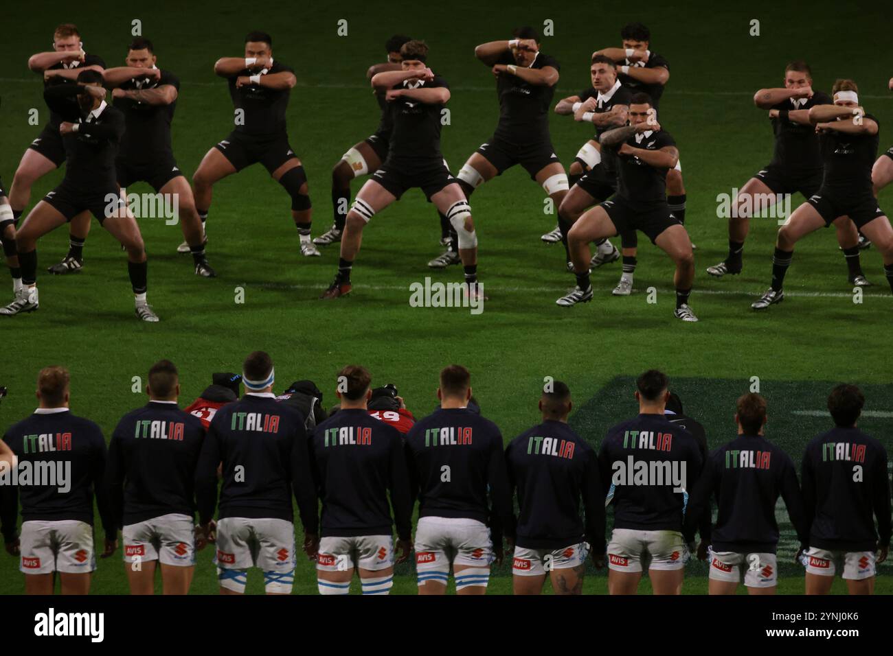 The Haka dance of All Blacks from New Zealand during Italy vs New ...