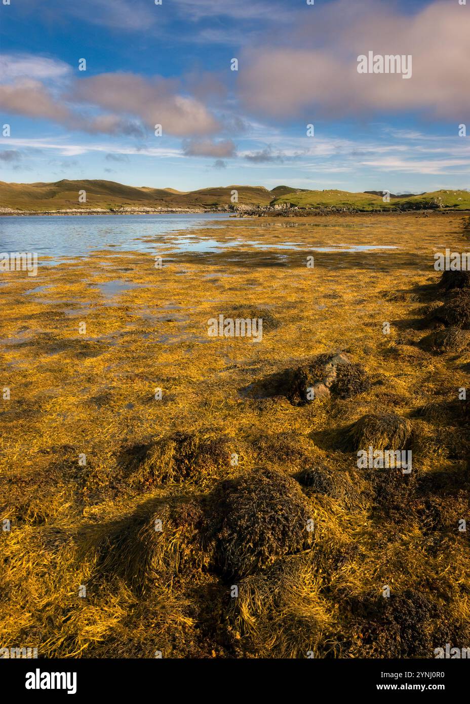 Loch shell hebrides hi-res stock photography and images - Alamy