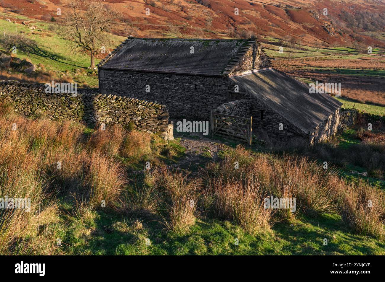 Tongue House barn in Kentmere Cumbria Stock Photo - Alamy