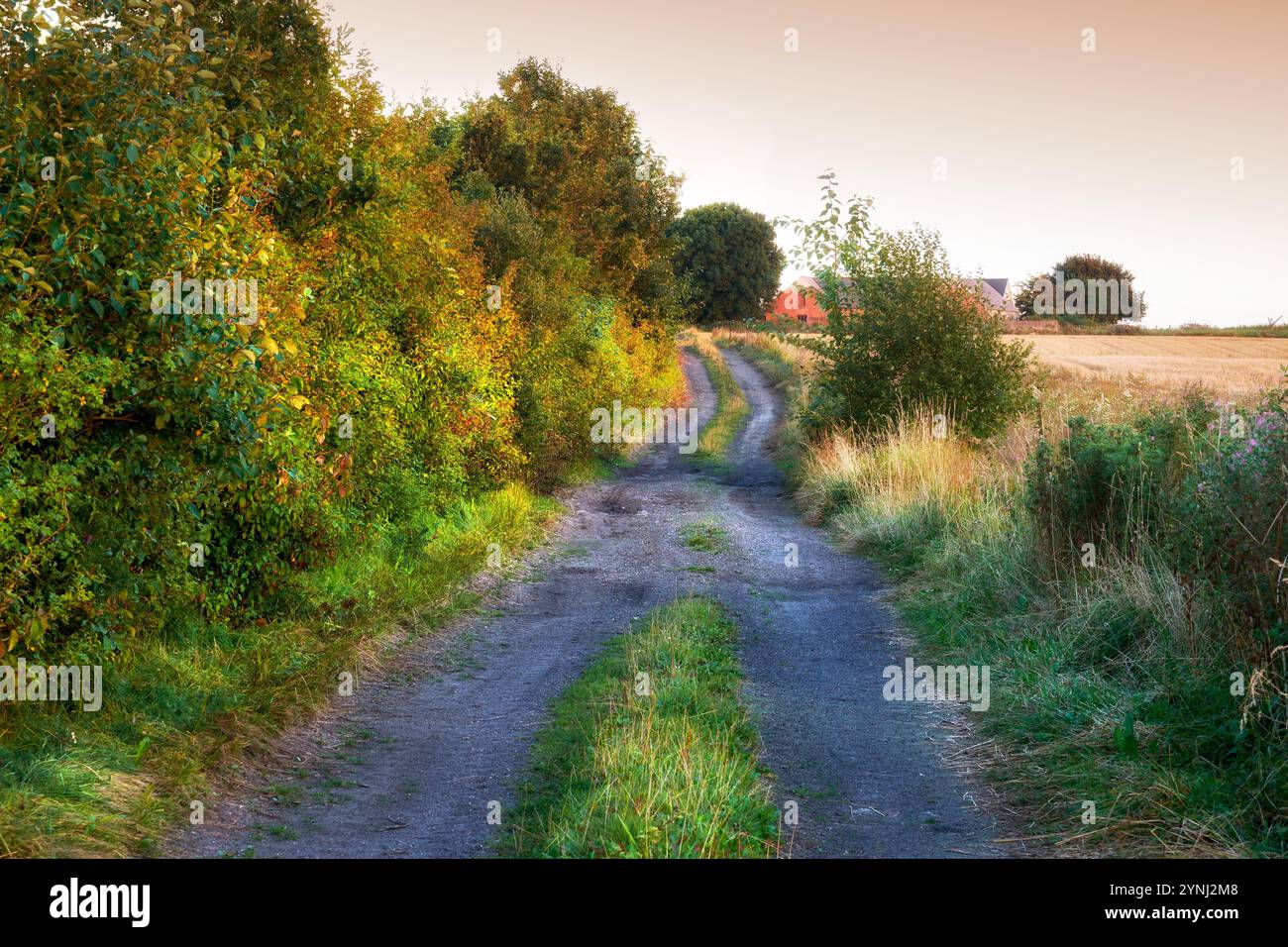 Outdoor, nature and path with trail for adventure, destination and ...