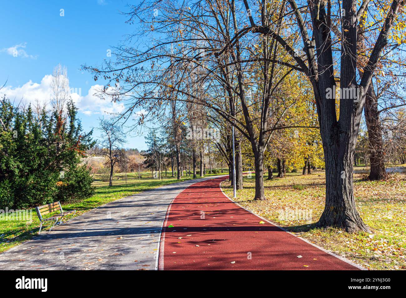 Running track for sports and recreation in the City Park in Skopje ...