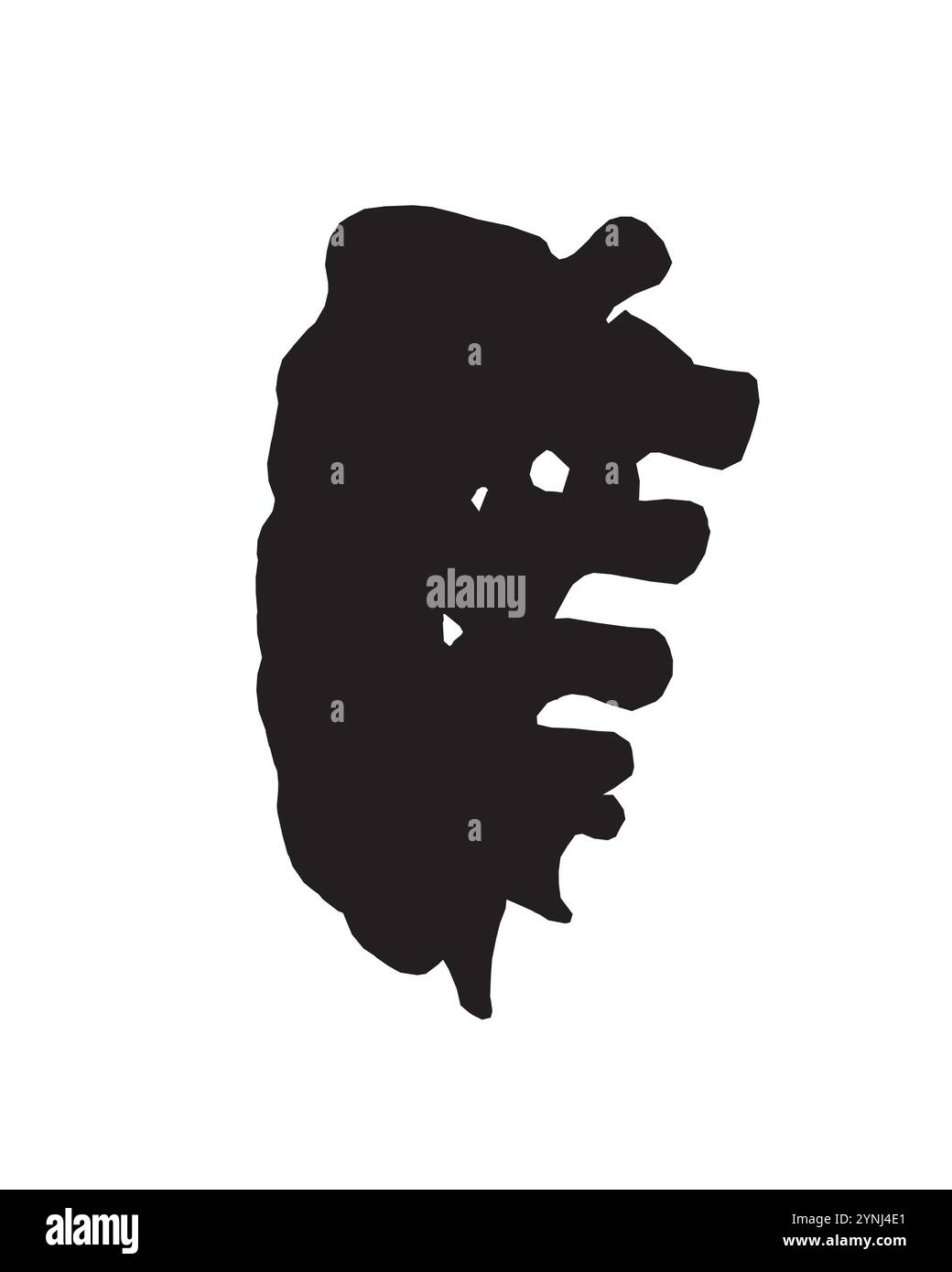 Human body front back drawing vector hi-res stock photography and ...