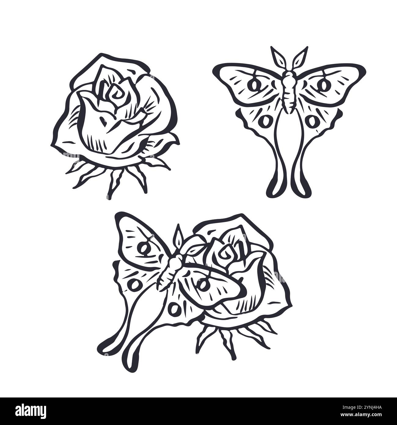 Hand drawn rose flower and luna moth black outline set isolated on ...