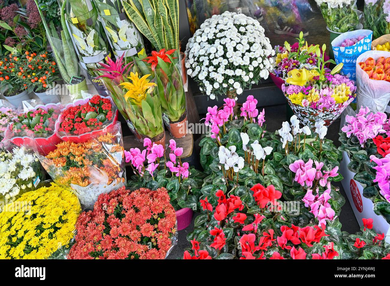 Daily life milan italy hi-res stock photography and images - Alamy