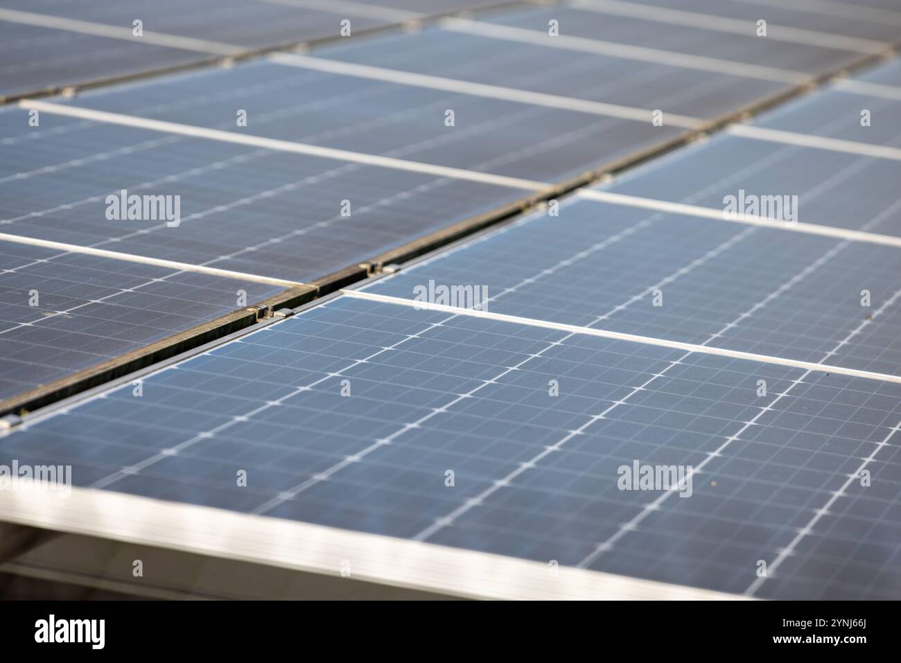 Solar Panels in Close-Up Harnessing Renewable Energy Stock Photo - Alamy