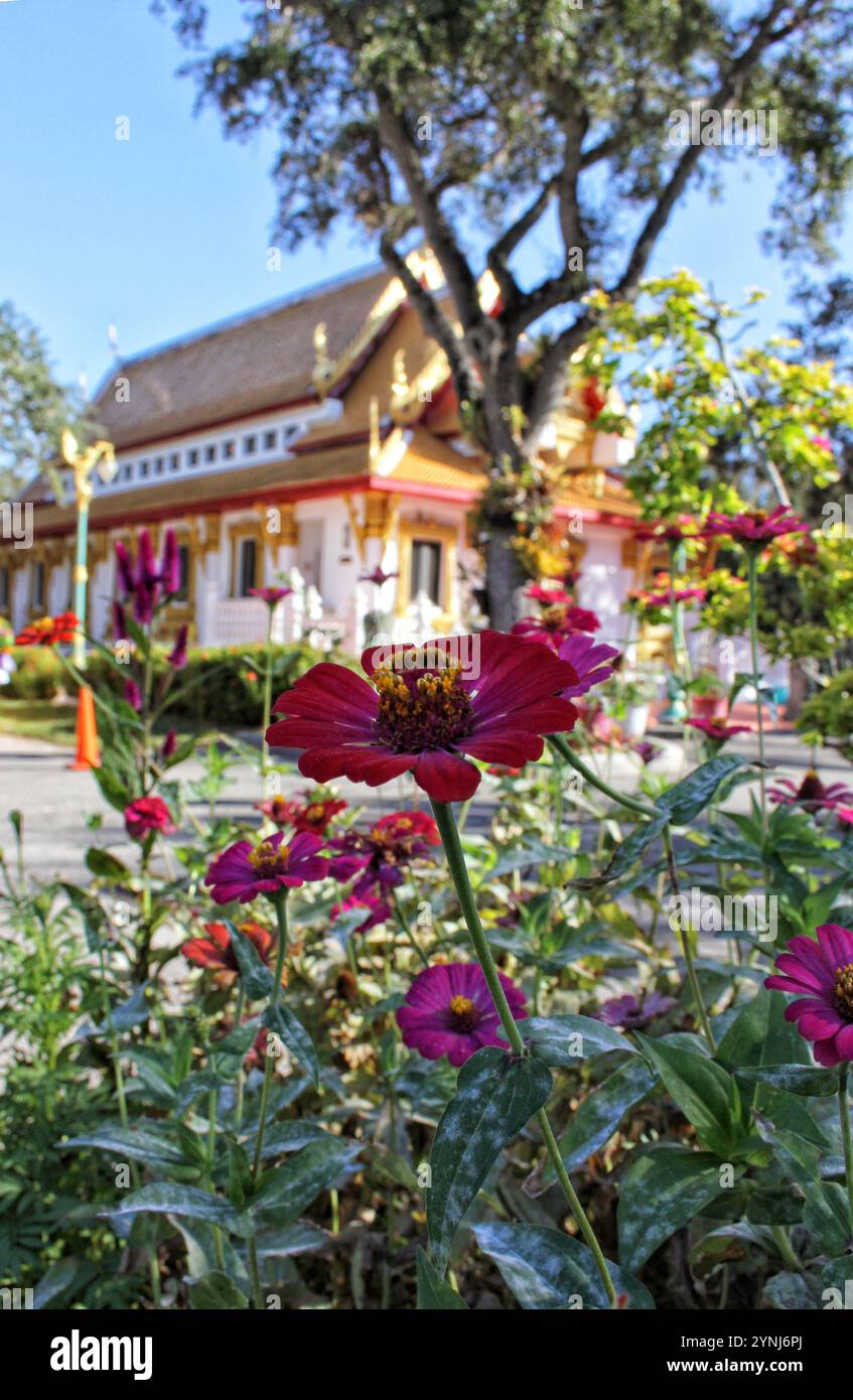 Thai Buddhist Temple Located in Tampa FL Stock Photo - Alamy
