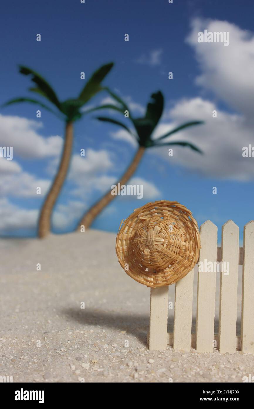Summertime Beach Scene With Sea Shells and Palm Trees Shallow DOF Stock ...