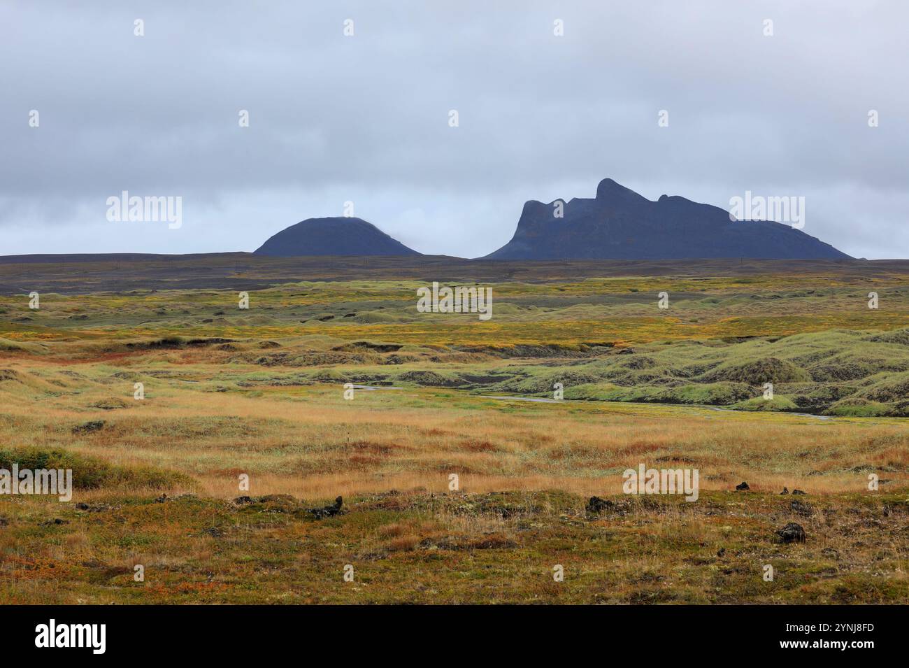 Anthropomorphic silhouette of a figure in the lava valley of wild ...