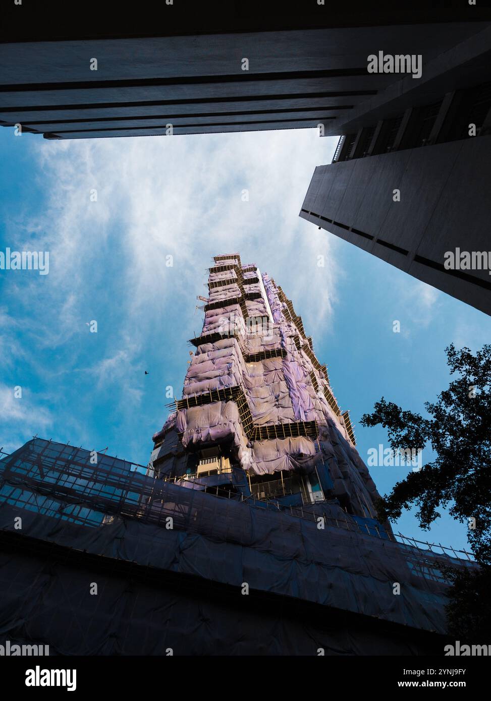 "Skyscraper Under Construction Wrapped in Purple Scaffolding, Viewed ...