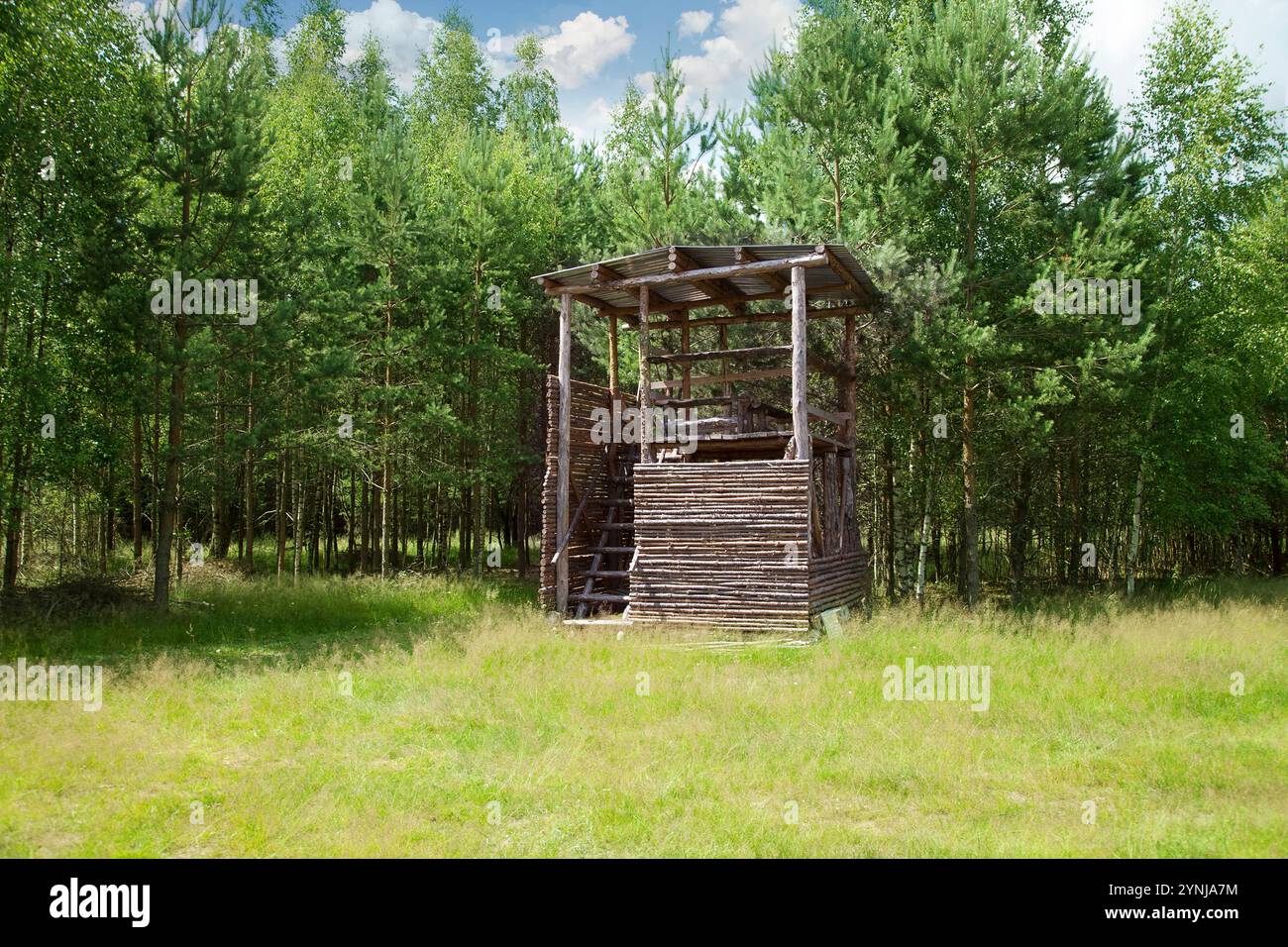 Wooden hut on the edge of the forest hi-res stock photography and ...