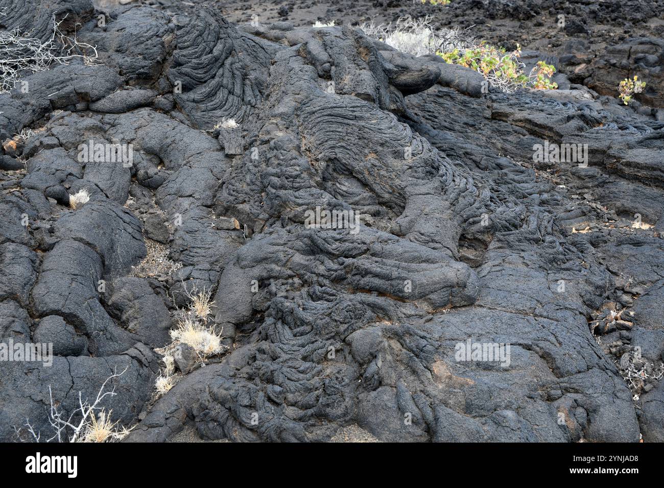 Lava flow (Pahoehoe) in El Lajial, La Restinga, El Hierro Island ...