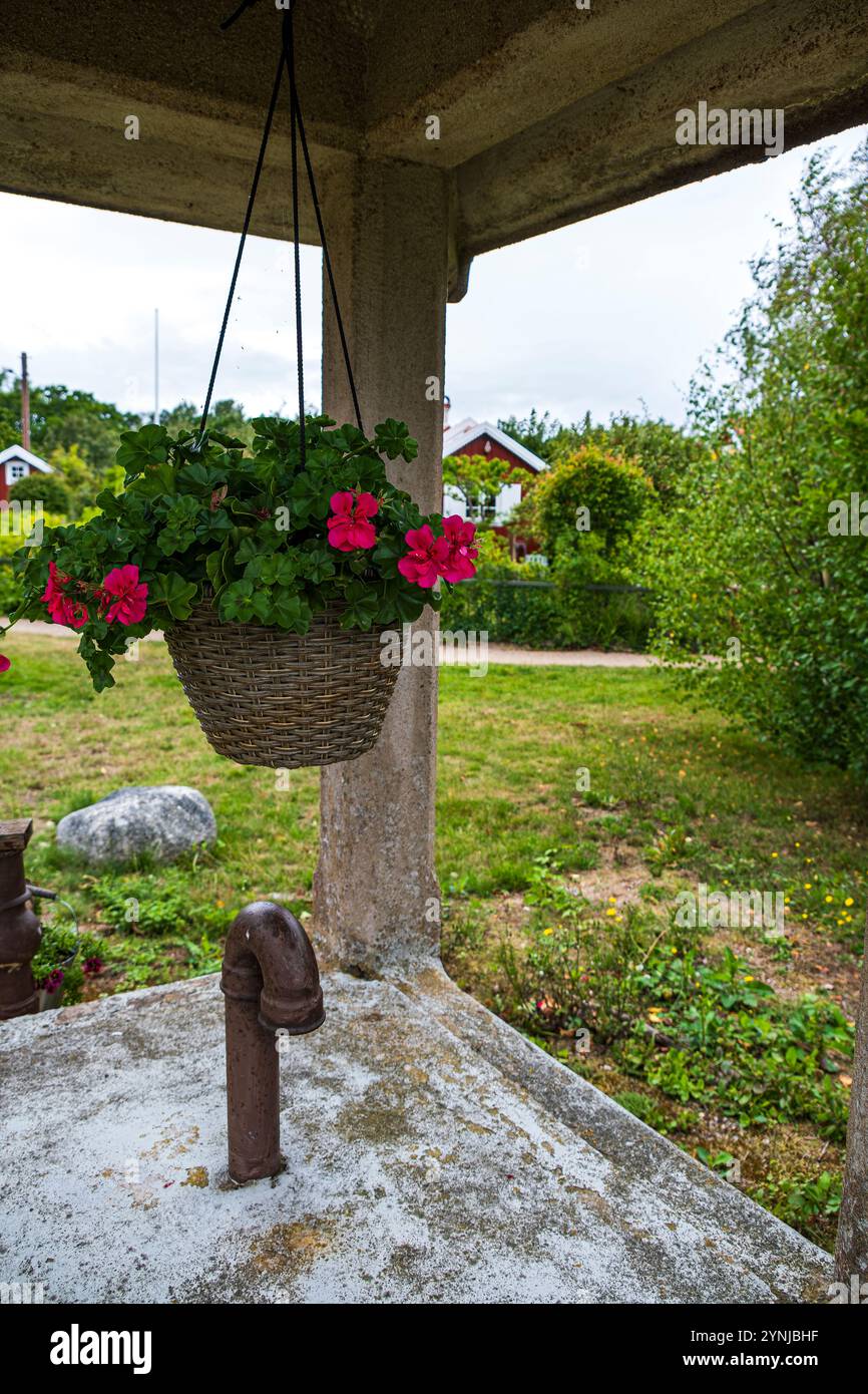 Well detail with hanging basket in the famous allotment garden colony ...
