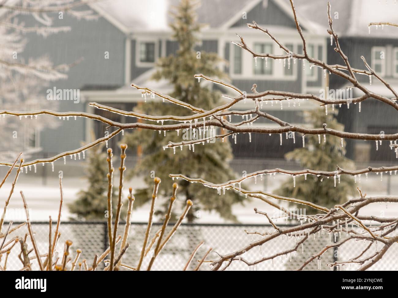 Canadian rain art hi-res stock photography and images - Alamy