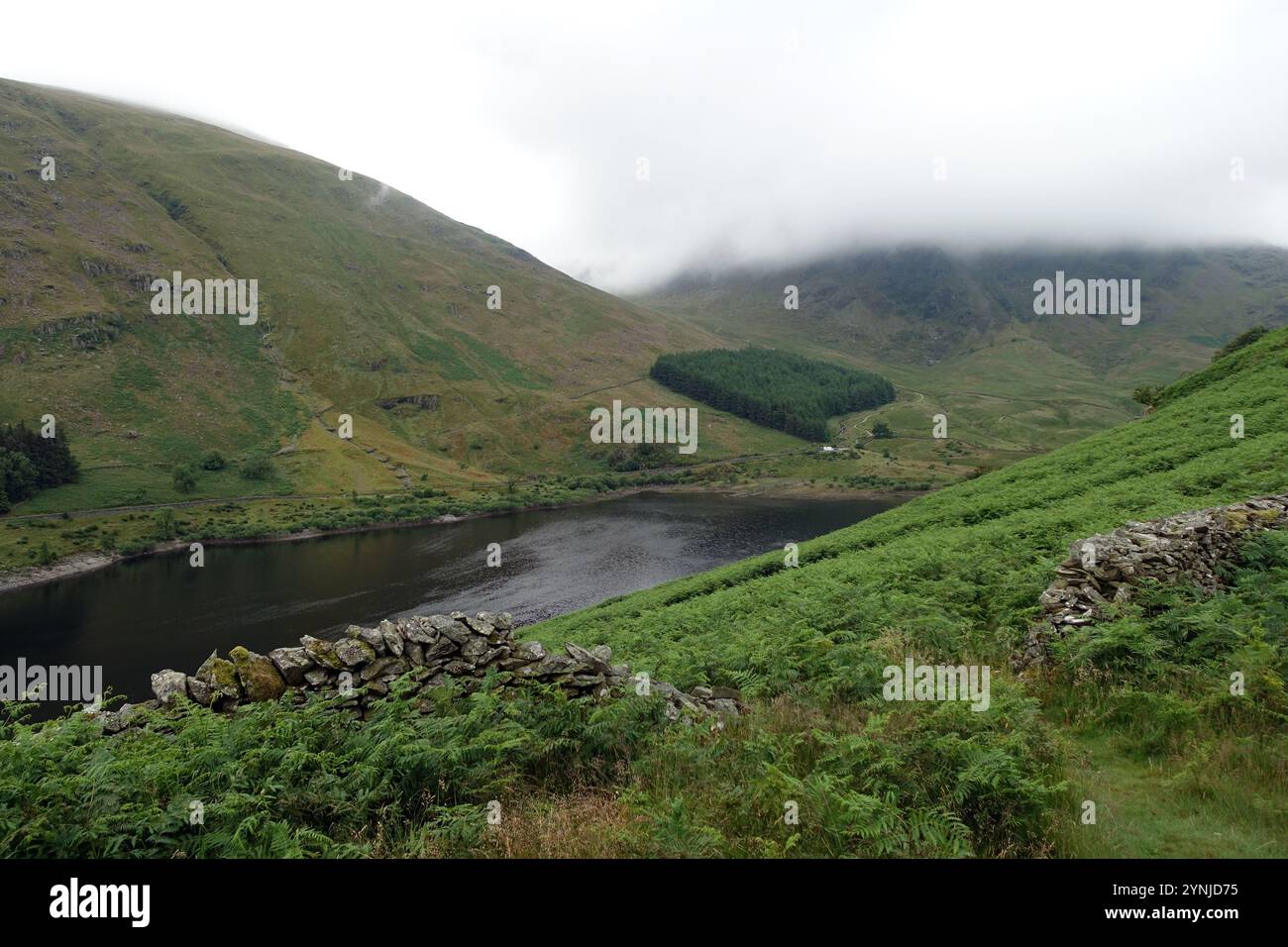 Haweswater Lake & Mardale Head from 'Rough Crag' on Route to the 'High ...