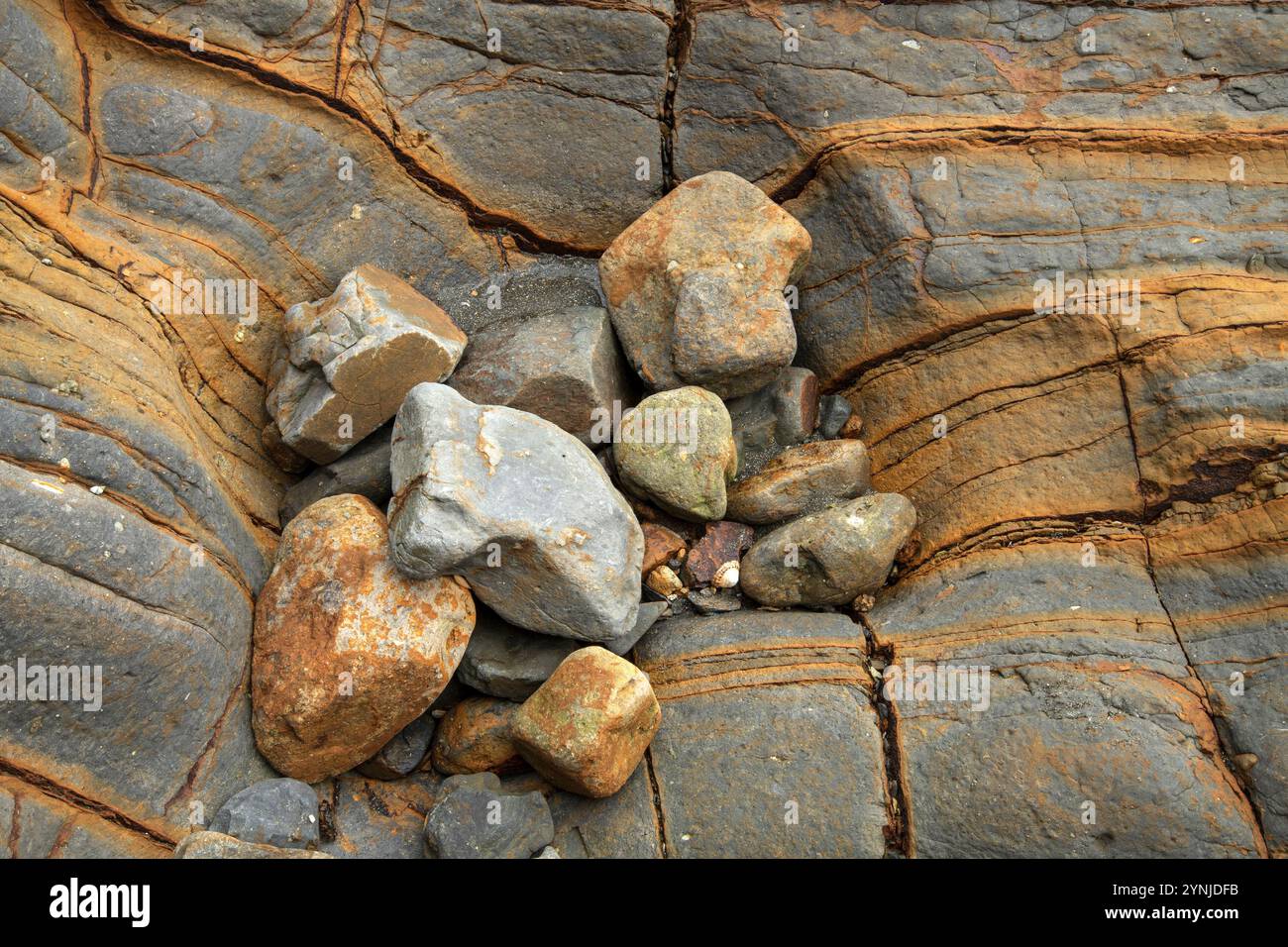 Australia, Tasmania, Eaglehwk Neck, Forestier Peninsula, Tessellated ...